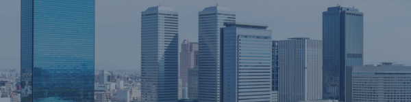 What types of jobs can people who are blind or have low vision do? | NTAC