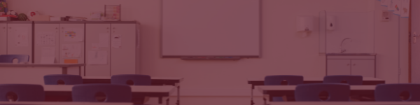 What types of jobs can people who are blind or have low vision do? | NTAC