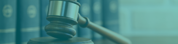 What types of jobs can people who are blind or have low vision do? | NTAC