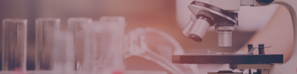 What types of jobs can people who are blind or have low vision do? | NTAC